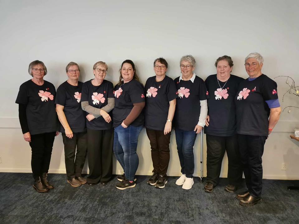 Sel sanitetsforening er tildelt Sel kommunes kulturpris for 2024 - Sel ...