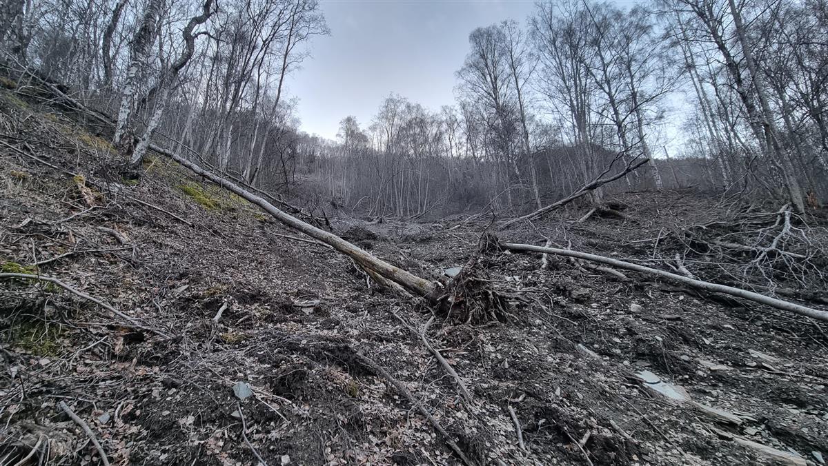 Utredning av skredfare i bratt terreng - Sel kommune